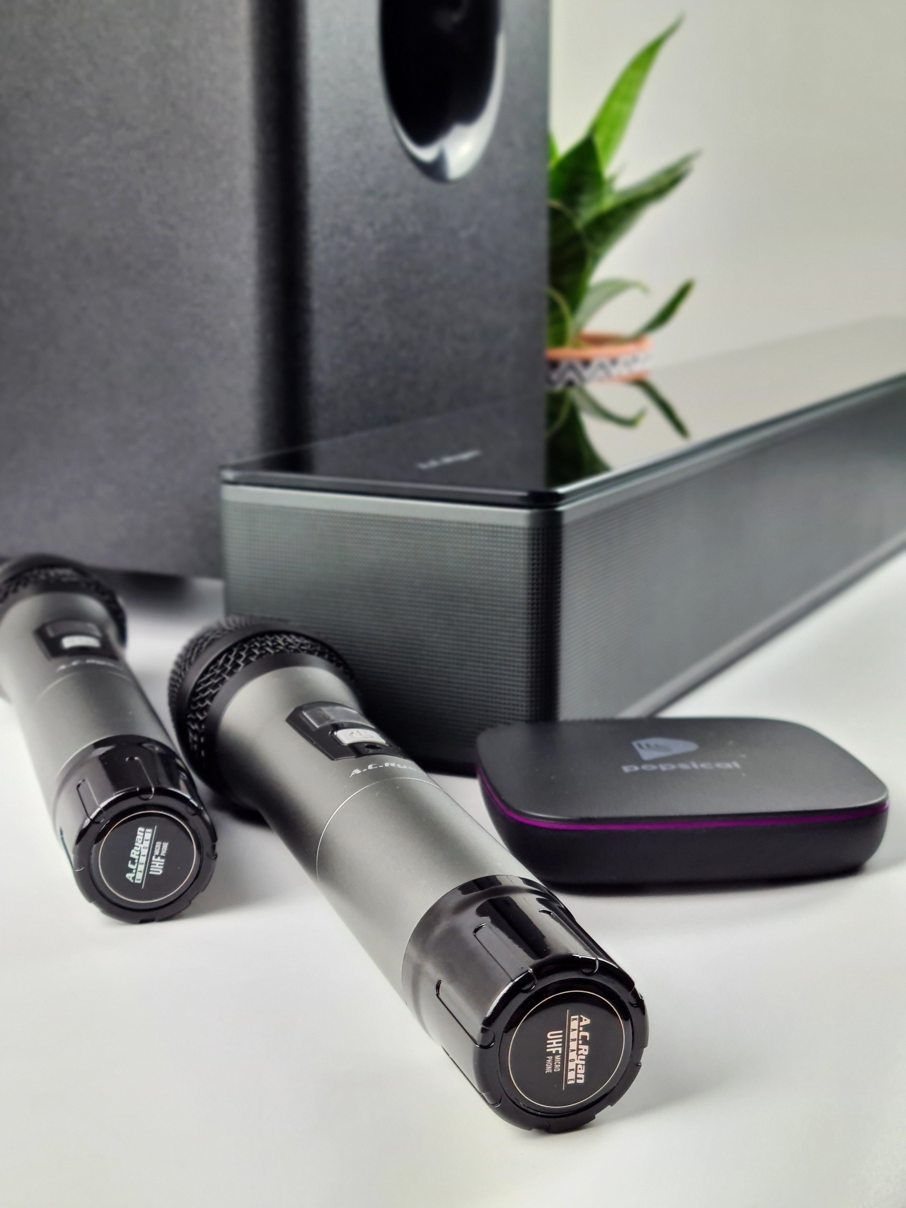 Home Karaoke Systems Singapore – AC Ryan Karaoke